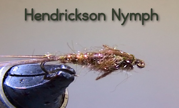 Hendrickson Nymph - Izaak Walton Fly Fishing Club
