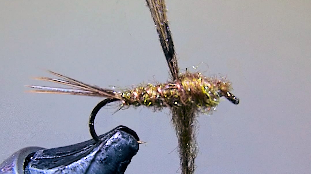 Hendrickson Nymph - Izaak Walton Fly Fishing Club