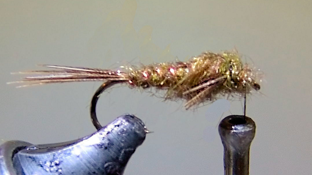Hendrickson Nymph - Izaak Walton Fly Fishing Club